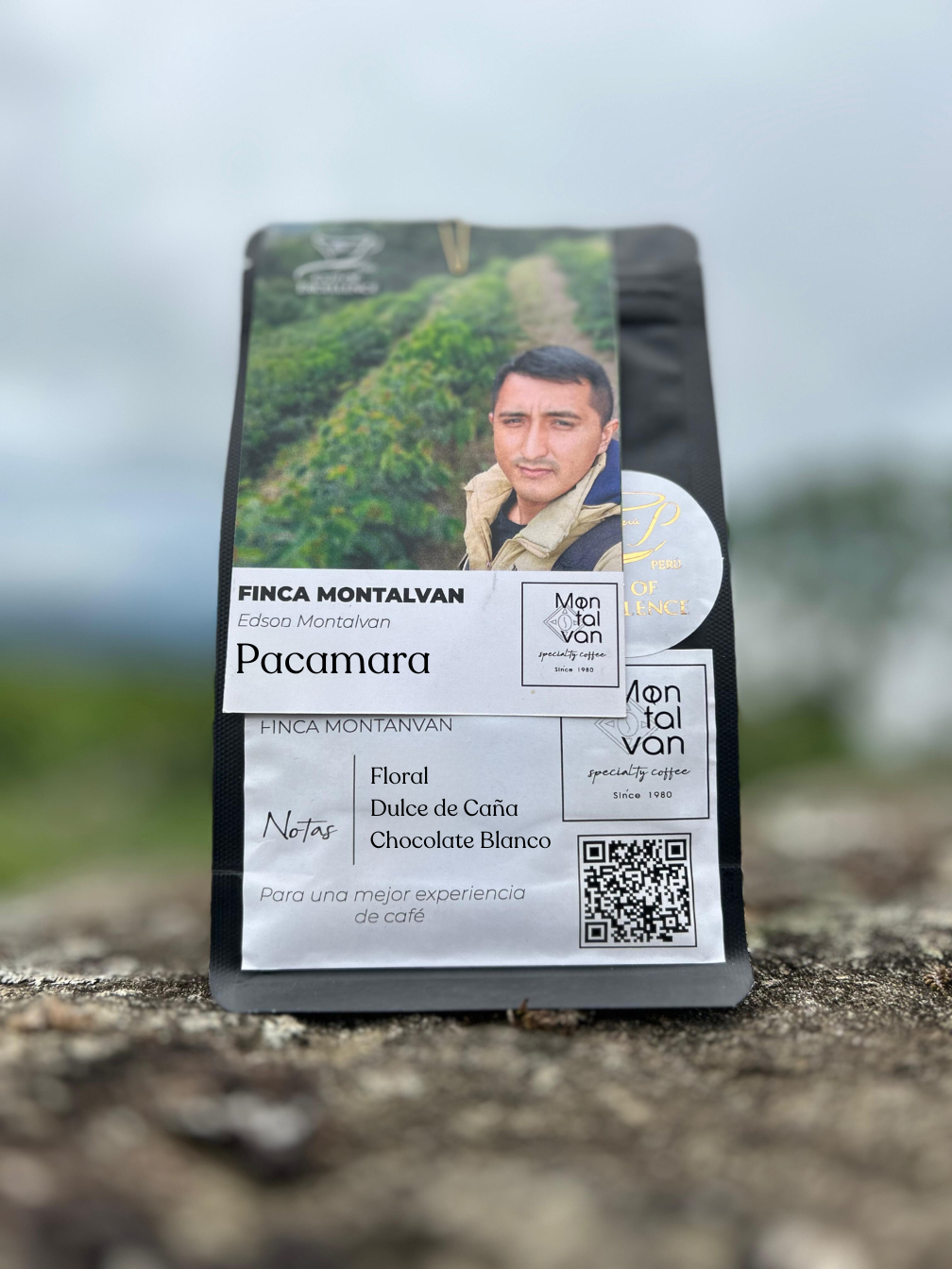Pacamara Lavado - Montalvan Café