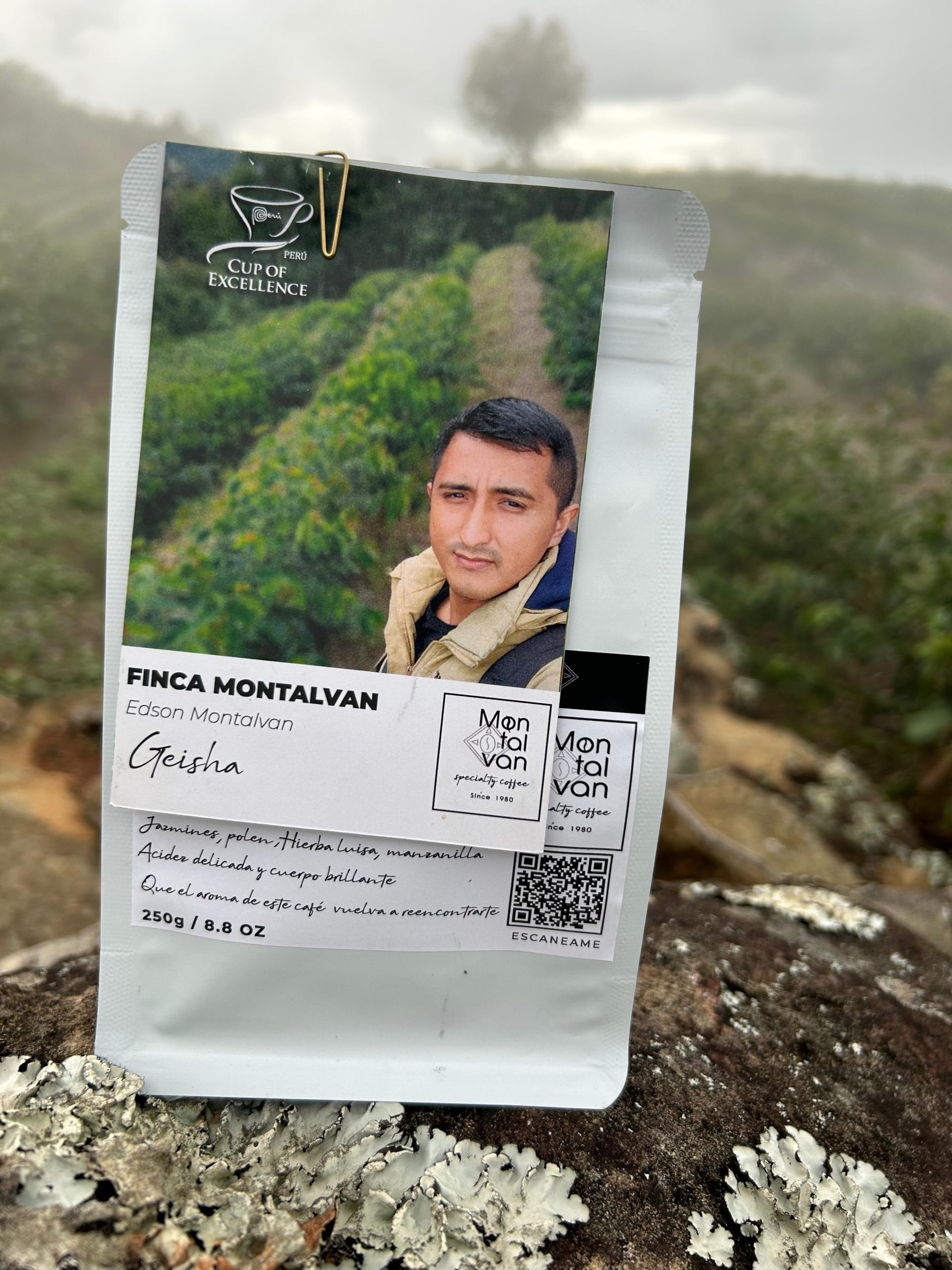 Geisha Lavado - Montalvan Café